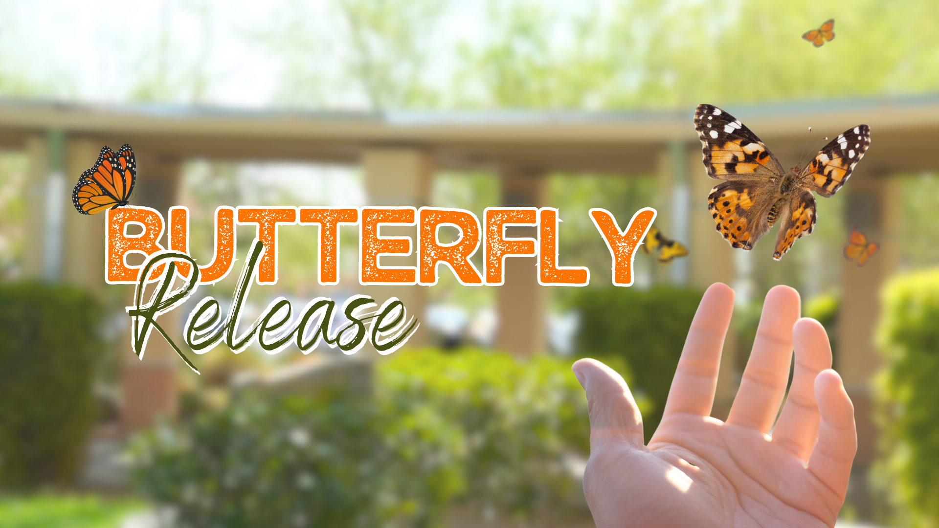 Butterfly Release | Ridgecrest Regional Hospital
